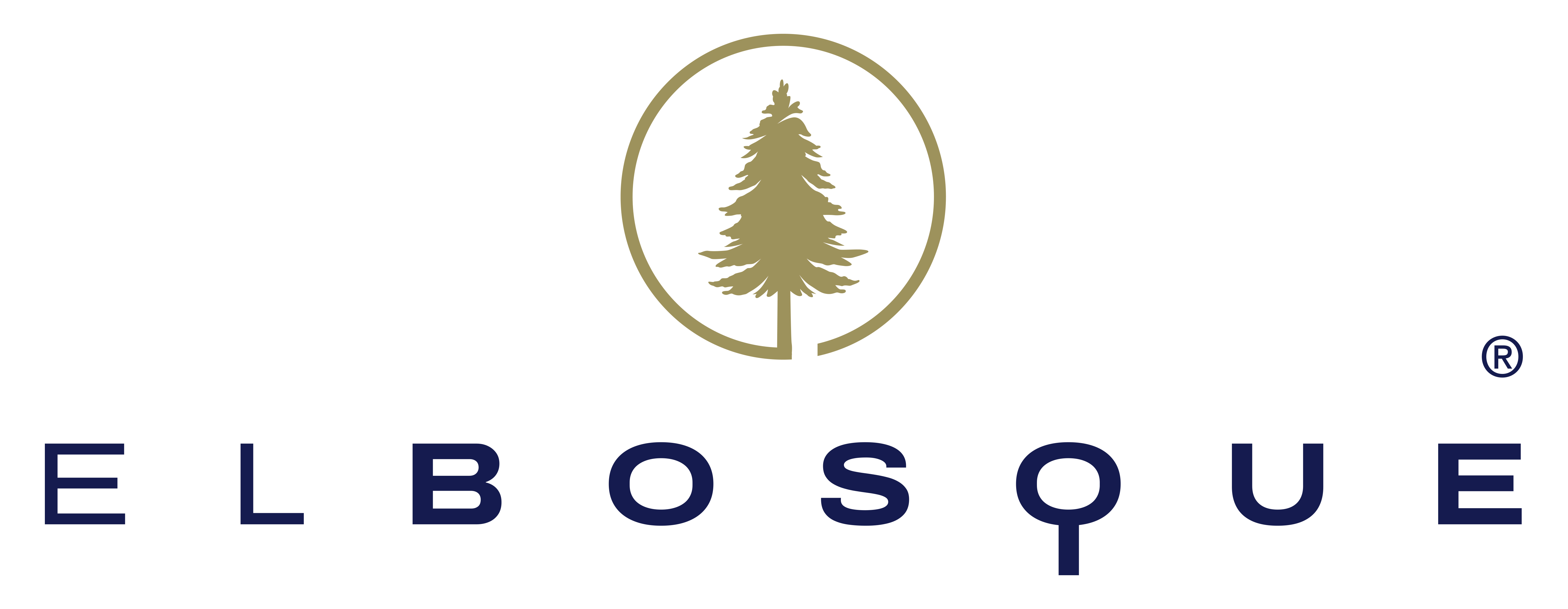 Inicio - AJE Córdoba